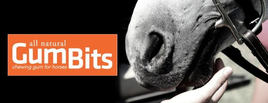 GumBits - Bit Accepting Treats - Chelford Farm Supplies