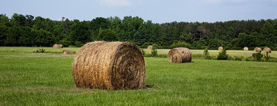 Blog | Your Guide to Haymaking Essentials