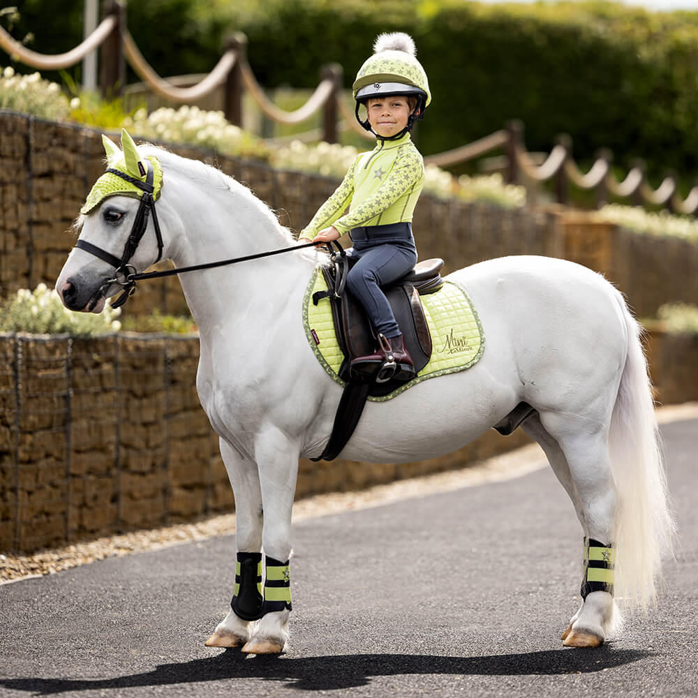 LeMieux Mini SS23 | Chelford Farm Supplies