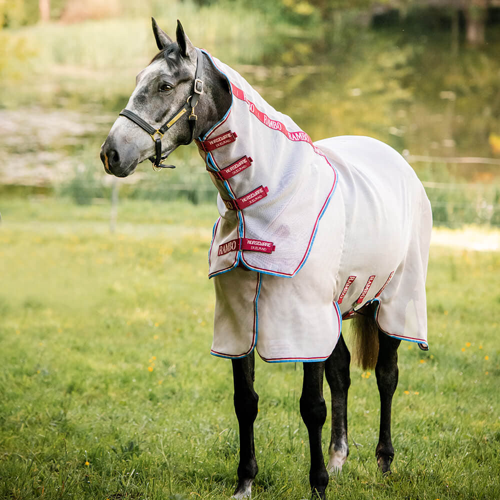 Rambo Rugs | Horse Rugs That Last | Chelford Farm Supplies