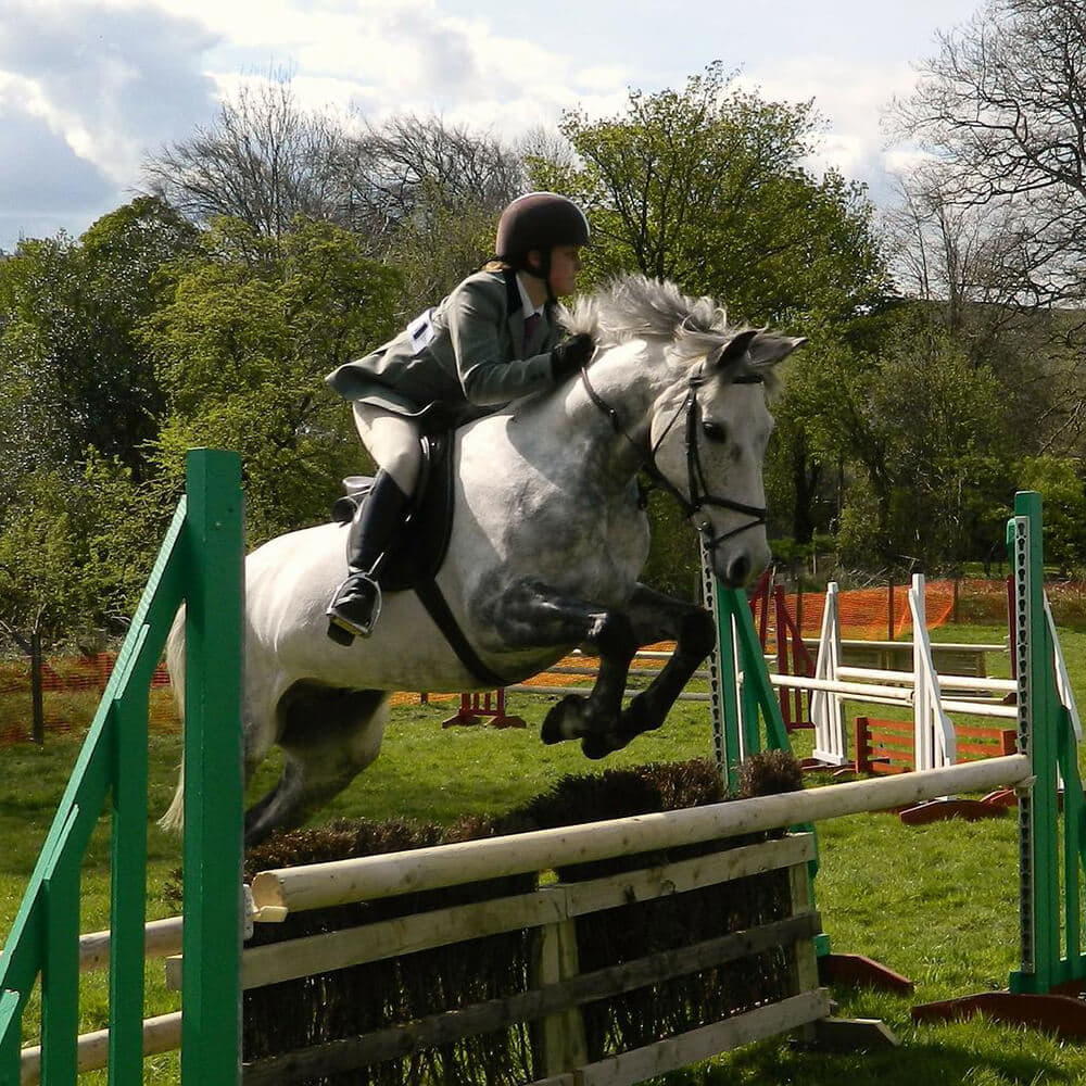 Blog | How To Prepare For A Horseshow | Chelford Farm Supplies