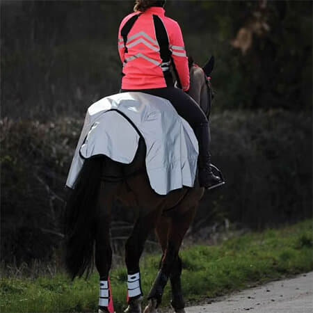 Blog | The Best Equine Hi-Viz To Be Safe & Seen